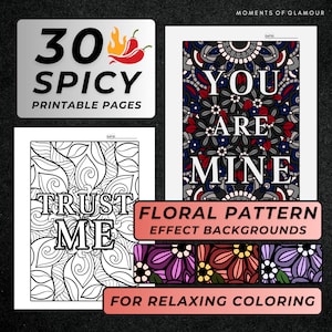 Spicy Coloring Book for Smut Book Lover Coloring File for Romance ...