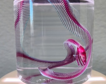 Diaphonized Snake - Etsy