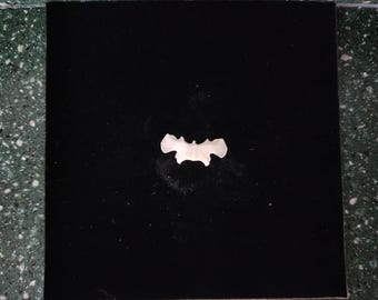 Sylvilagus Floridanus / Rabbit Atlas Vertebrate Butterfly Bone - Etsy