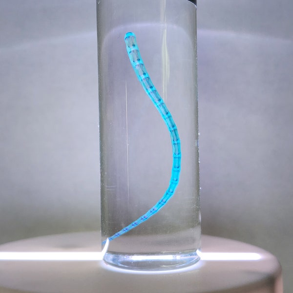 Diaphonization - Etsy