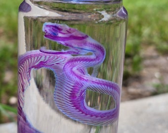 Wet Specimen Snake - Etsy