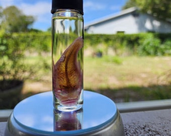 Diaphonized Fish - Etsy