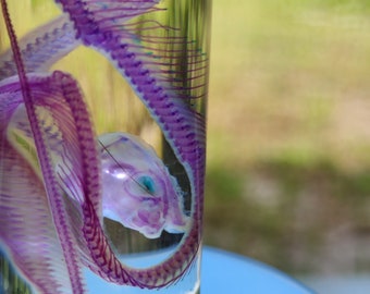 Wet Specimen Snake - Etsy