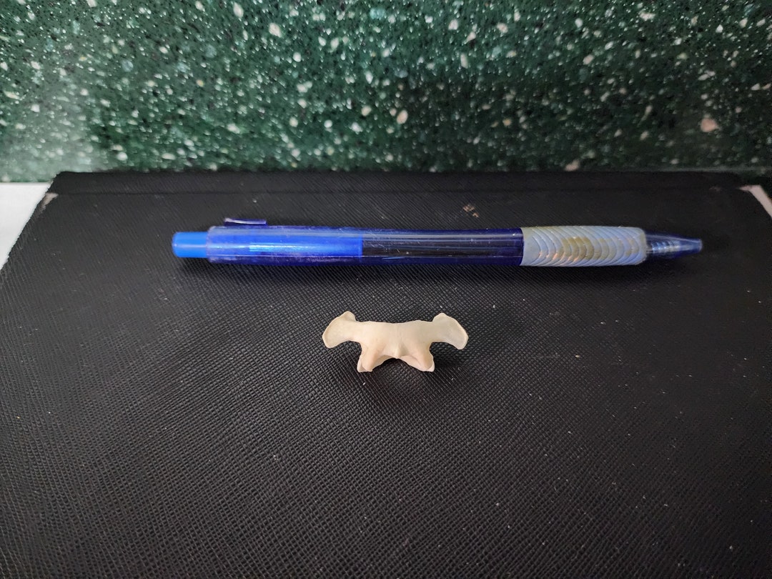 Sylvilagus Floridanus / Rabbit Atlas Vertebrate Butterfly Bone - Etsy