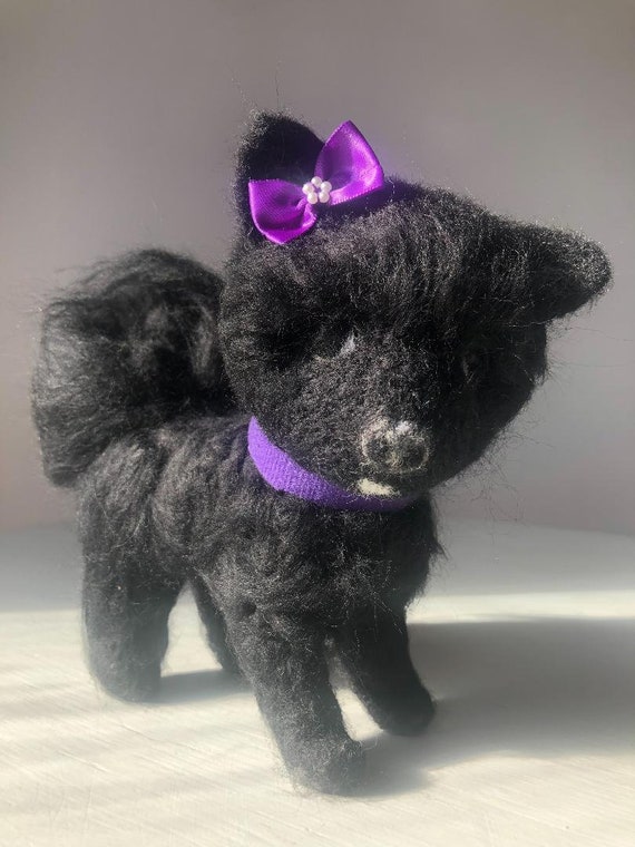 Black Miniature Pomeranian
