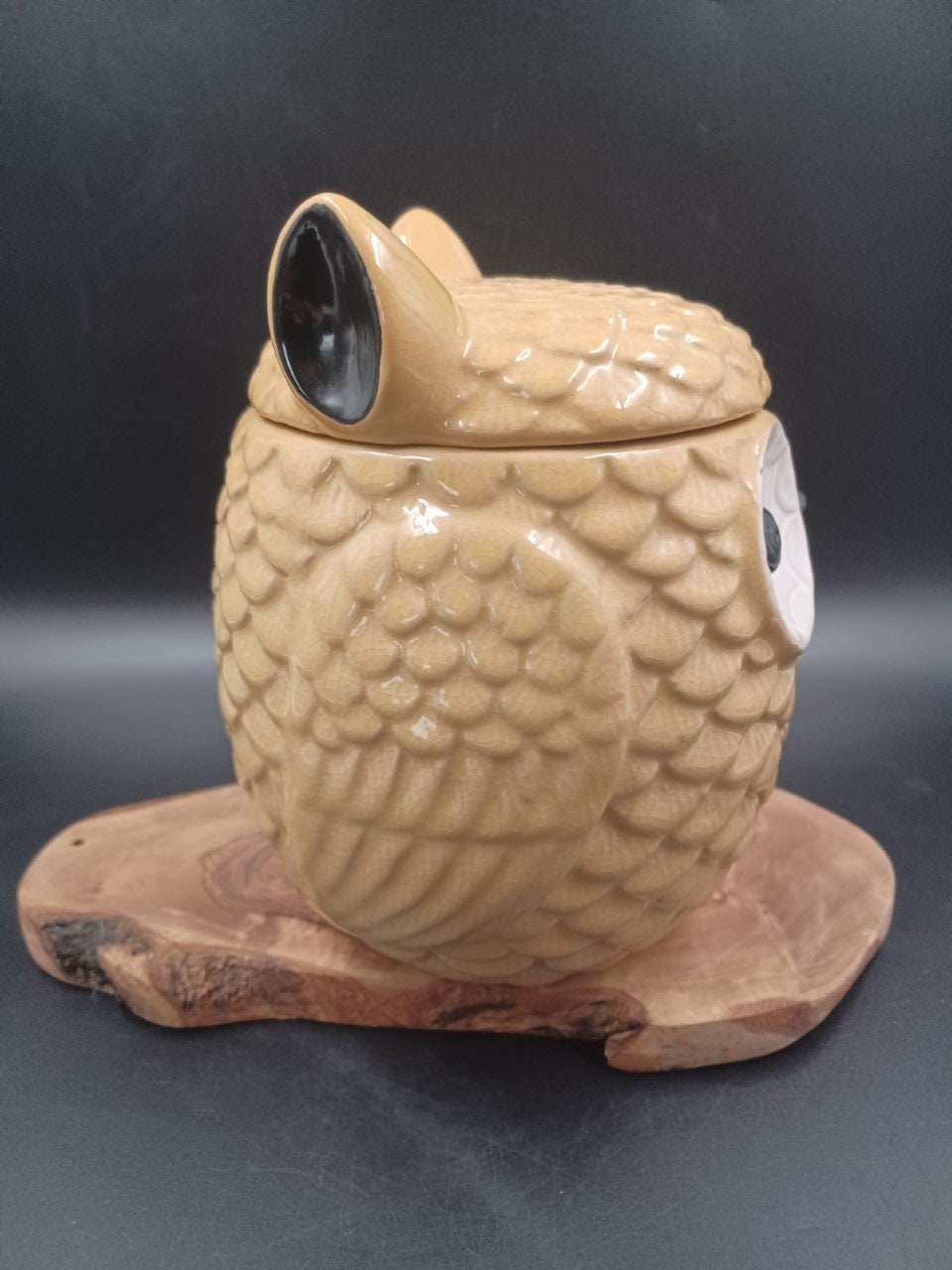 Ceramic Owl Jar 8t X 6w - Etsy