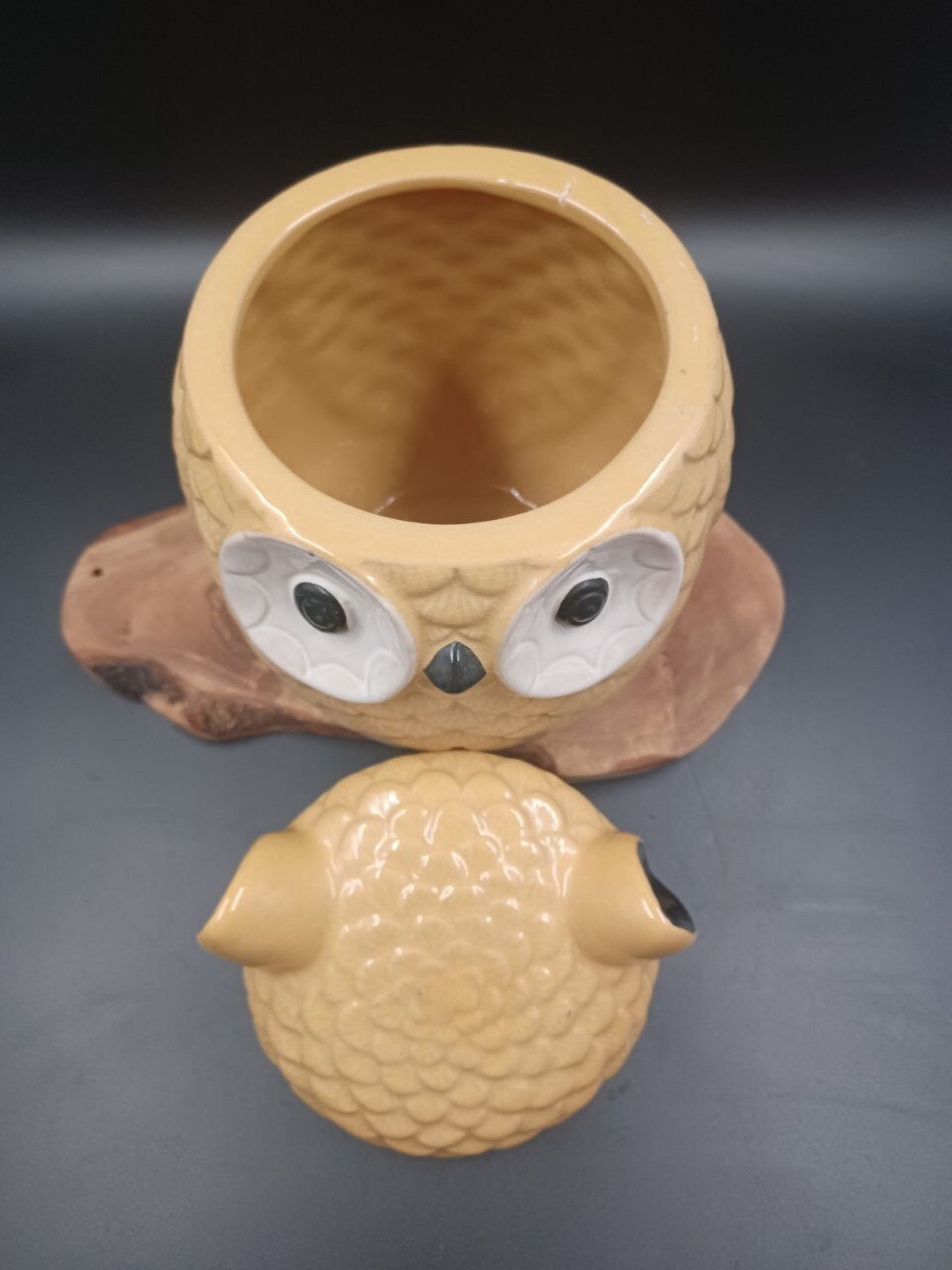 Ceramic Owl Jar 8t X 6w - Etsy