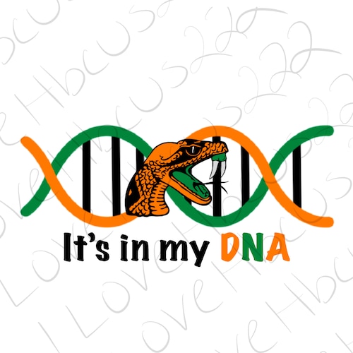 FAMU HBCU Svg and Png - Etsy