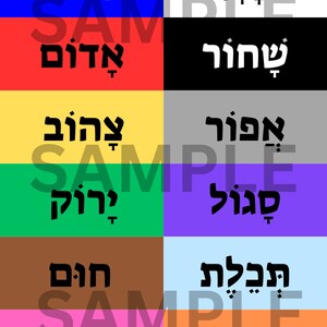 Hebrew Color Learning for Kids Instant Digital Print With 12 Pages for ...
