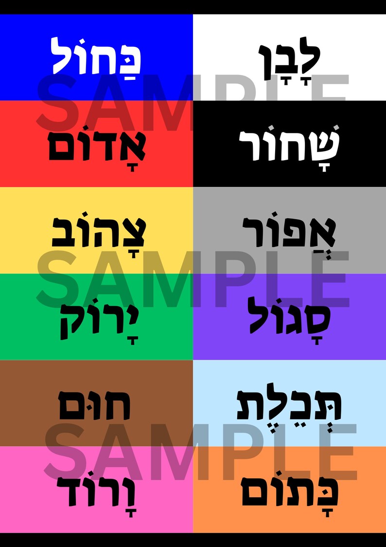 Hebrew Color Learning for Kids Instant Digital Print With 12 Pages for ...