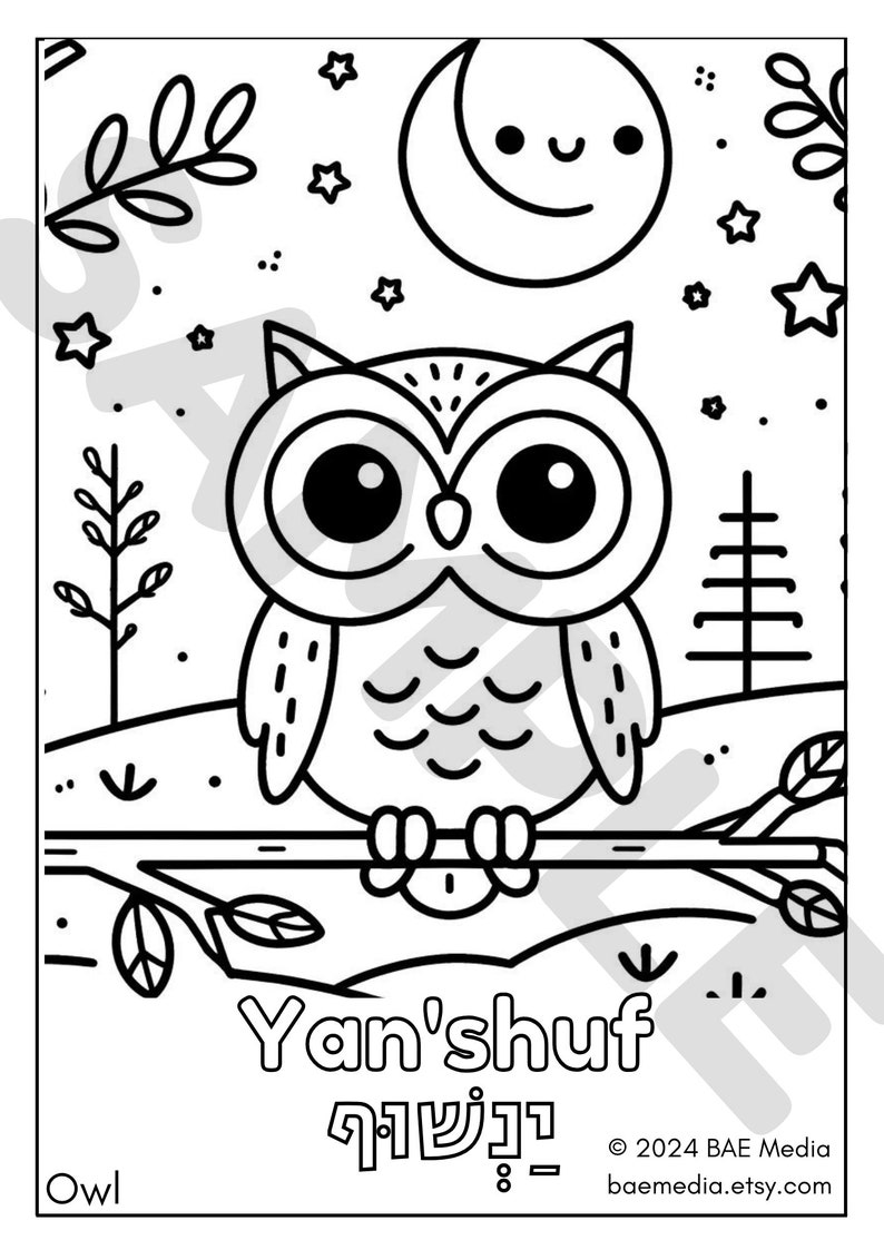 Learn Hebrew - 70+ Pages of Coloring - Explore the Animal Kingdom ...