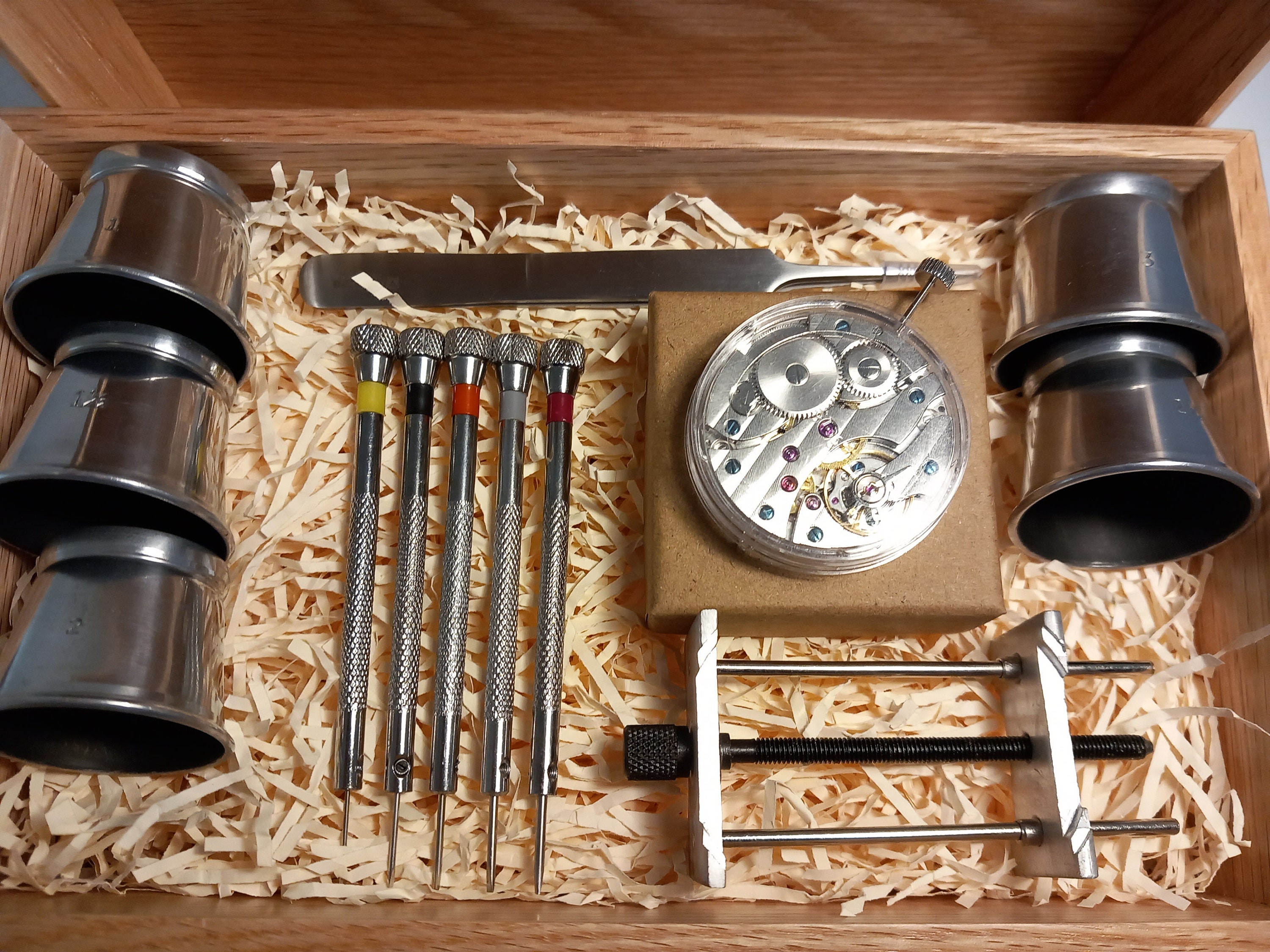 Watchmaker's Starter Box for DIY Watch Assembly and Repair Horology Kit ...
