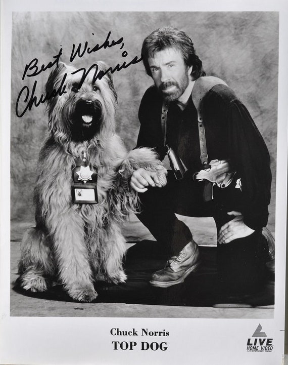 Funny Chuck Norris Animals