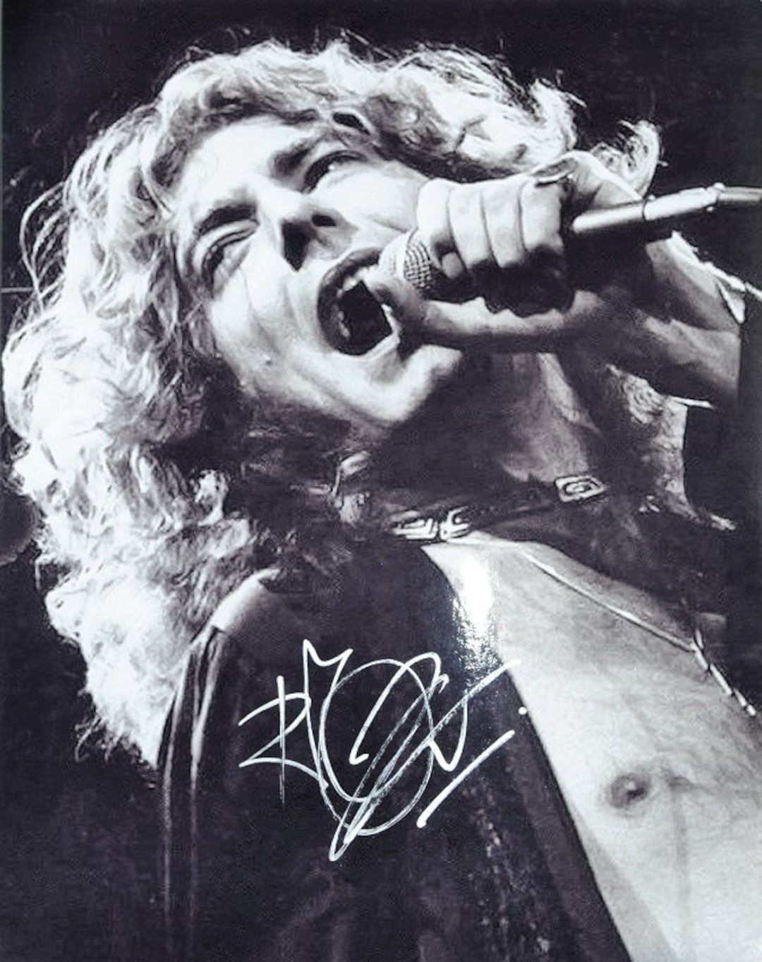 ROBERT PLANT Signed Photo - Led Zeppelin W/coa - Etsy