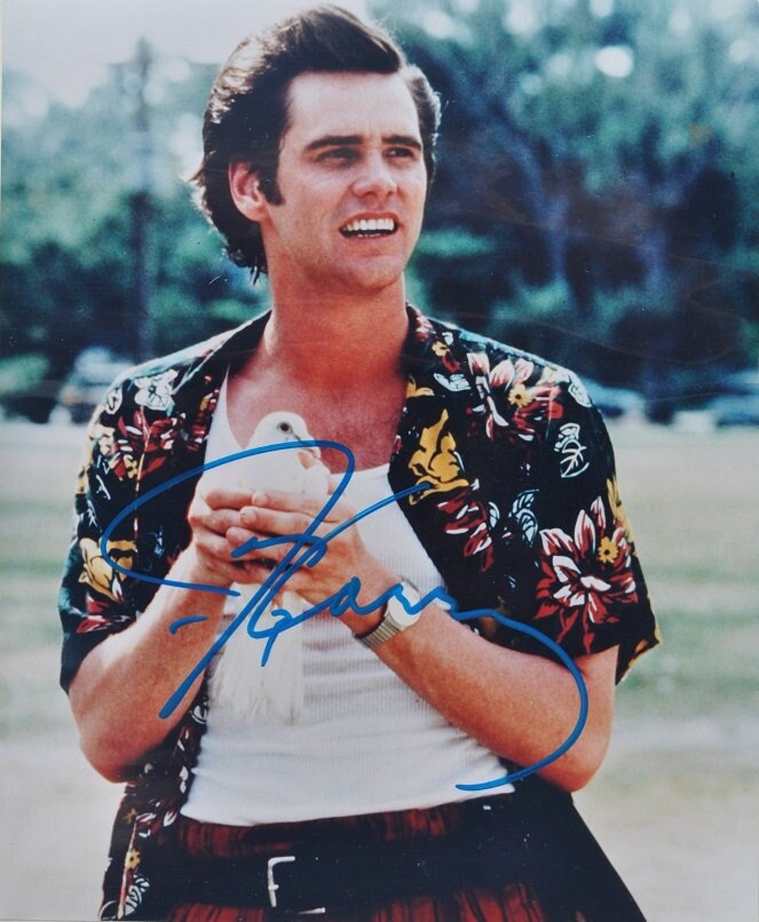 JIM CARREY SIGNED Photo - Ace Ventura: Pet Detective W/coa - Etsy JIM CARREY SIGNED Photo - Ace Ventura: Pet Detective W/coa - Etsy