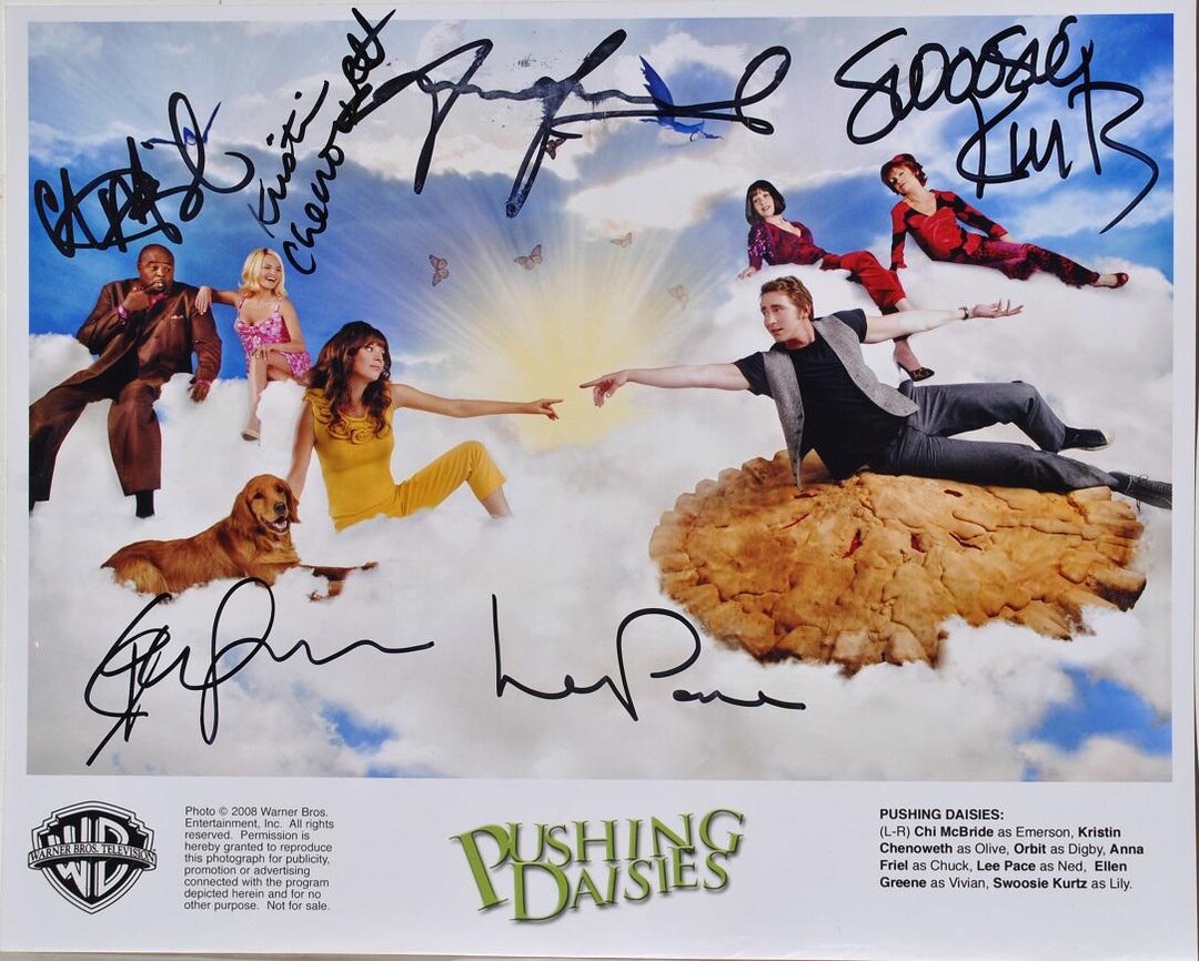 PUSHING DAISIES CAST Signed Photo X6 - Lee Pace, Anna Friel, Chi ...