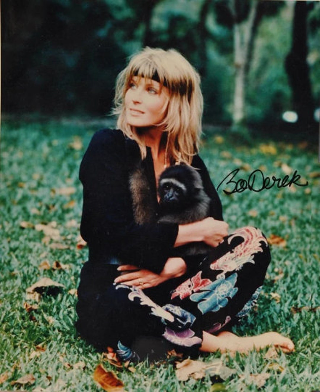 BO DEREK SIGNED Photo - 10 - Dudley Moore, Julie Andrews W/coa - Etsy