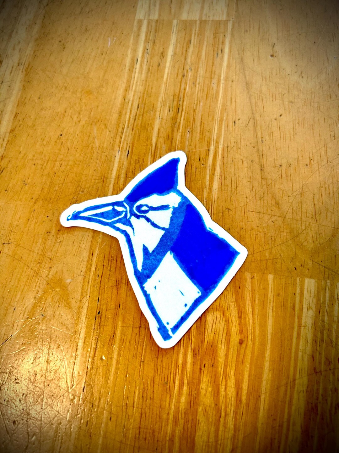 Blue Jay Sticker - Etsy