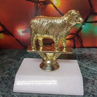 Class Winner Award, Livestock Show, Animal, Lamb, Goat, Pig, Rabbit ...