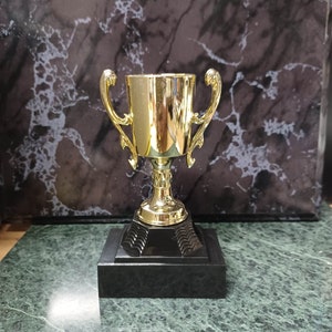 Custom Cup Trophy - Etsy