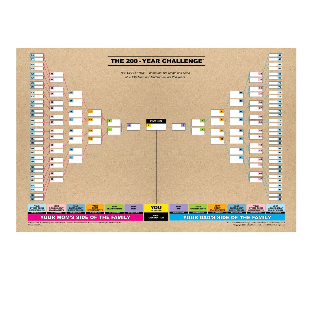 BIG 38" X 25" 7 Generation Family Tree Chart PLUS Other Charts PLUS the ...