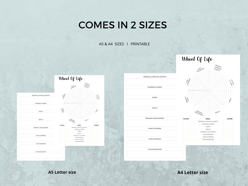 Wheel of Life Printable Planner Achieve Balance Goal Setting, Self ...