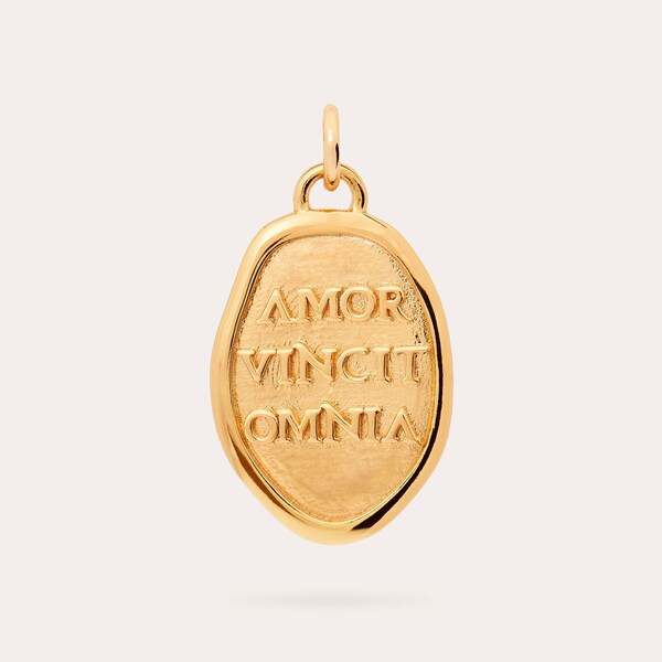 Amor Vincit Omnia - Etsy UK
