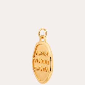 Amor Vincit Omnia Medallion – 18kt Gold Vermeil Recycled Sterling ...