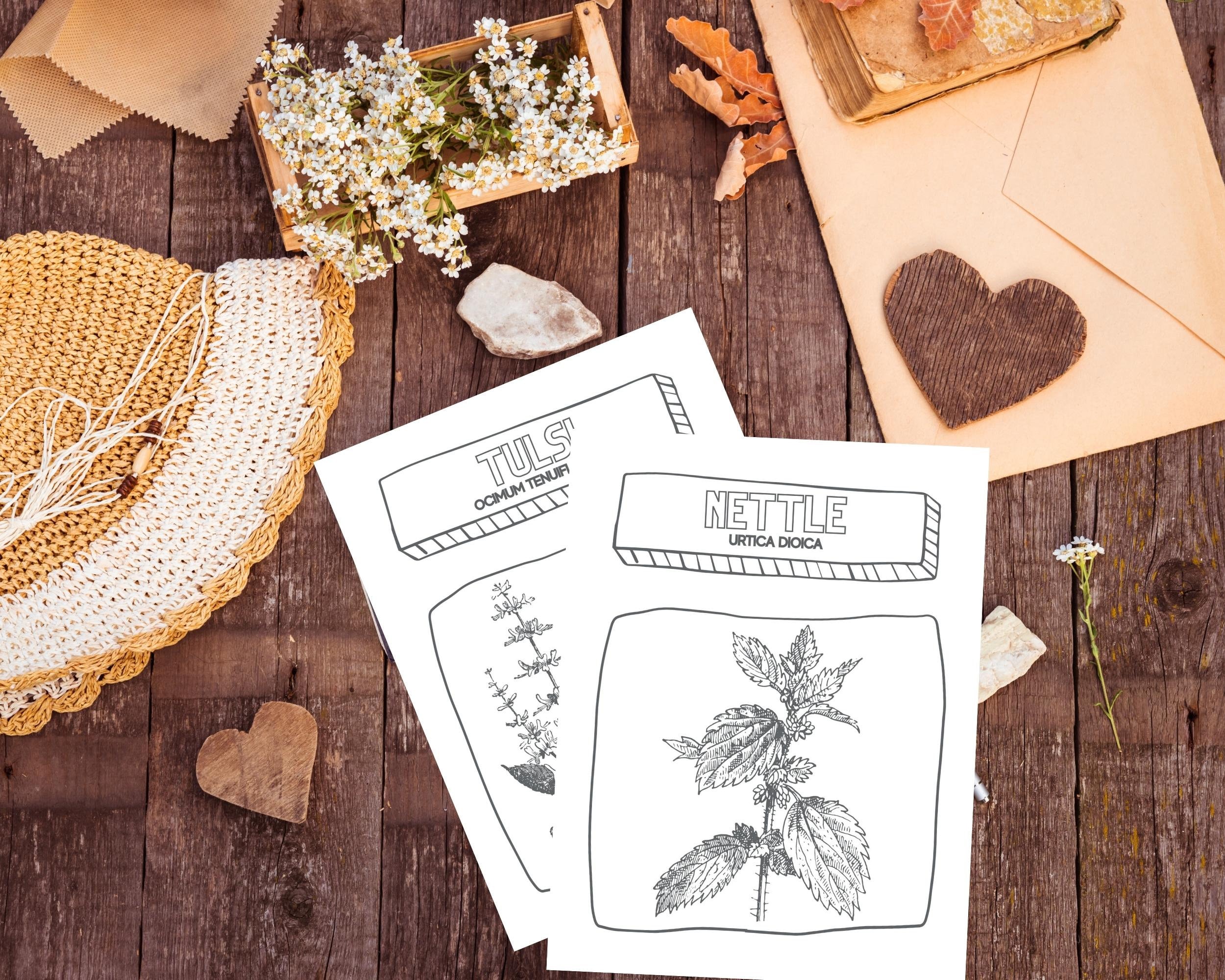 Herbal Coloring Pages ABC 28 Page Bundle - Digital Download - Printable ...