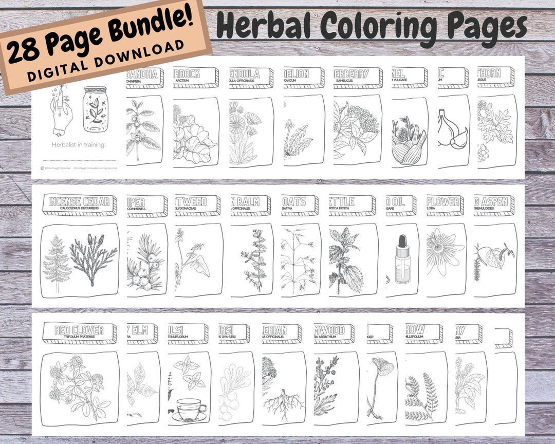 Herbal Coloring Pages ABC 28 Page Bundle - Digital Download - Printable ...