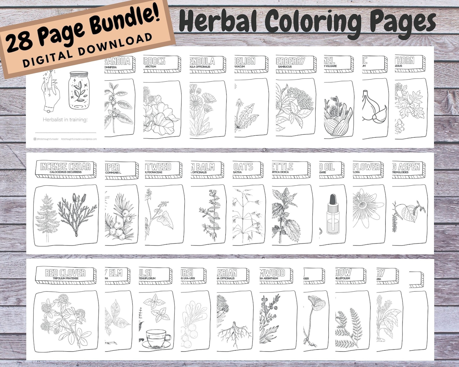 Herbal Coloring Pages ABC 28 Page Bundle - Digital Download - Printable ...
