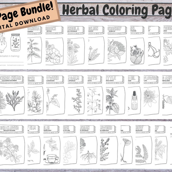 Kids Herbal Coloring Pages - Etsy