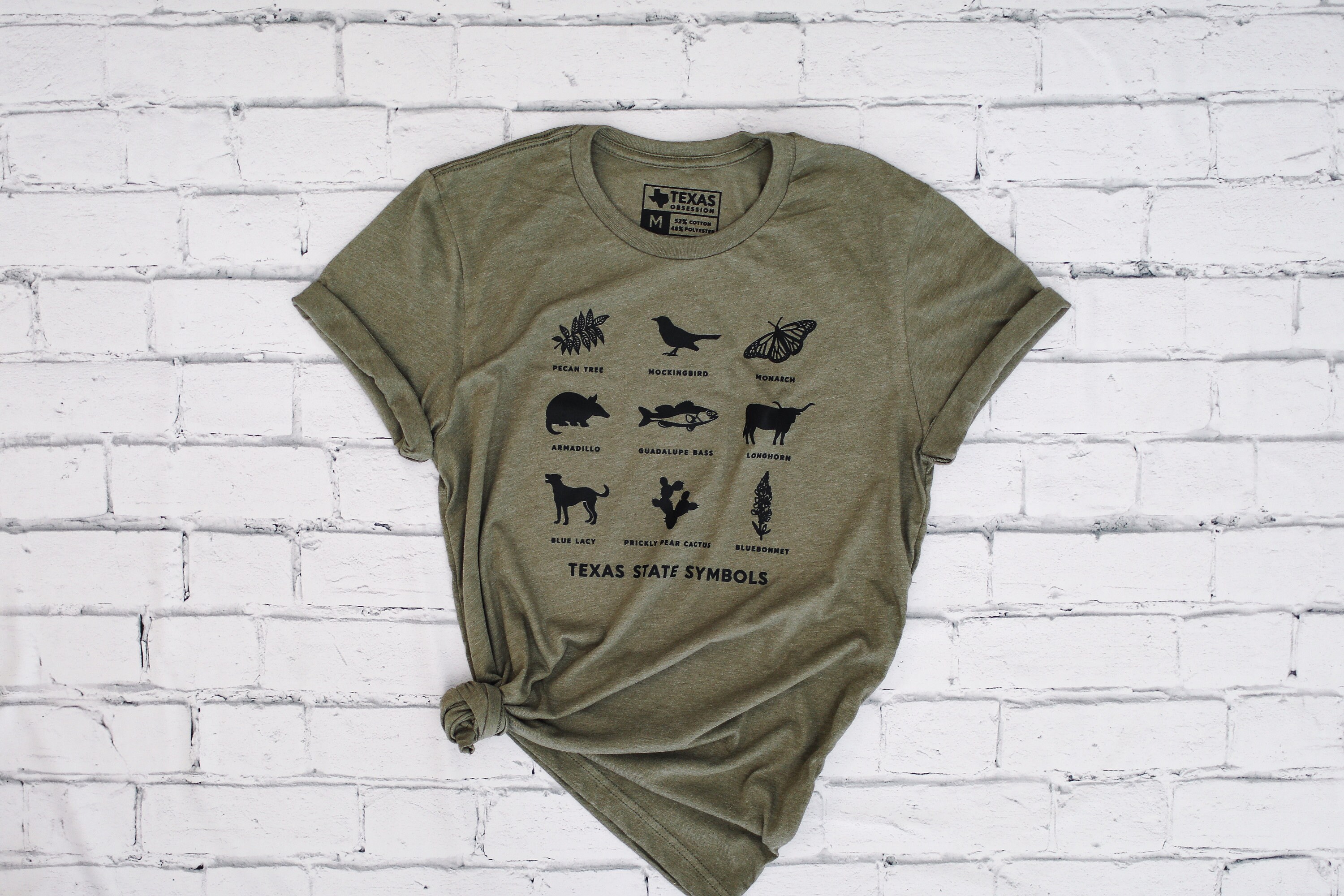 Texas State Symbols Shirt, Texas Icons, TX Souvenir, Gift Ideas - Etsy