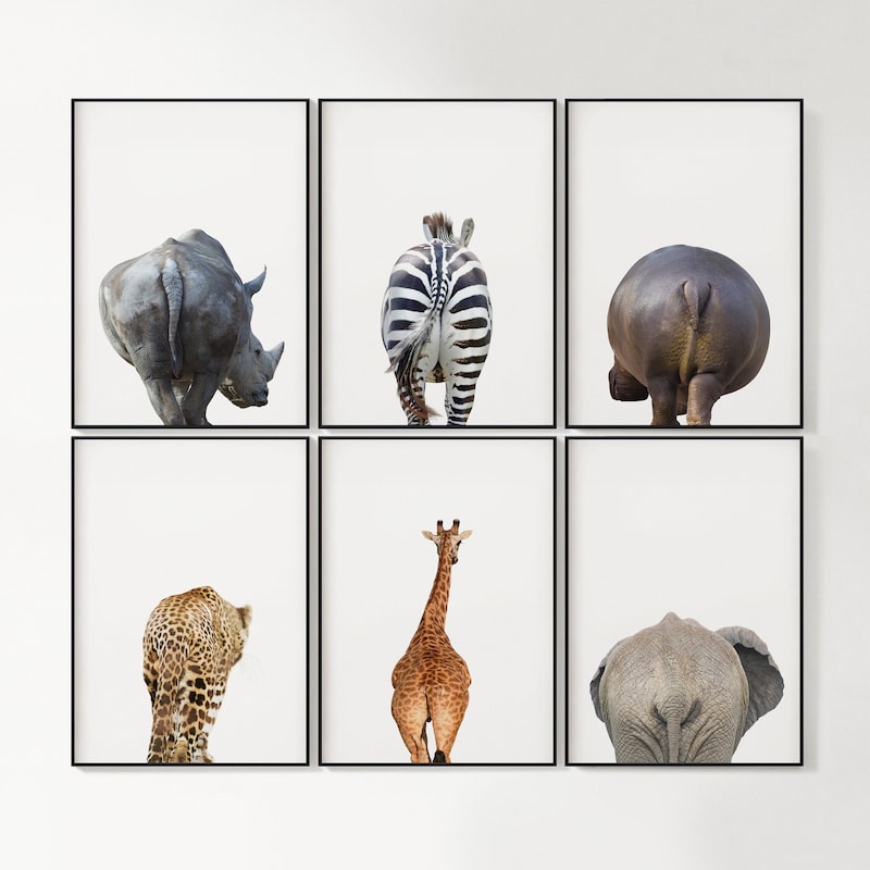 Funny Animal Prints - Etsy