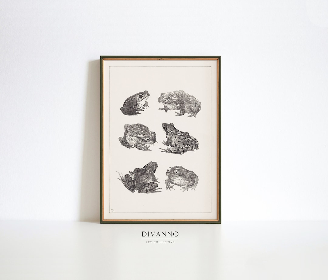 Vintage Frogs Wall Art, Toad Chart Illustration, Nature Canvas, Antique ...