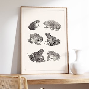 Vintage Frogs Wall Art, Toad Chart Illustration, Nature Canvas, Antique ...