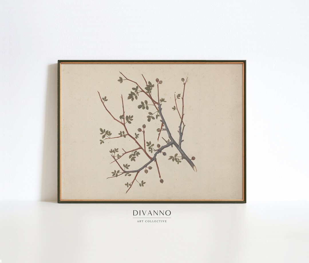 Antique Tree Branch Print, Rustic Kitchen Decor, Botanical Sketch ...