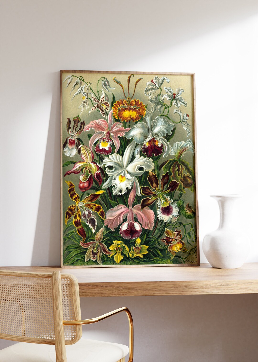 Wild Orchid Poster, Orchidae by Ernst Haeckel, Botanical Print, Flower ...