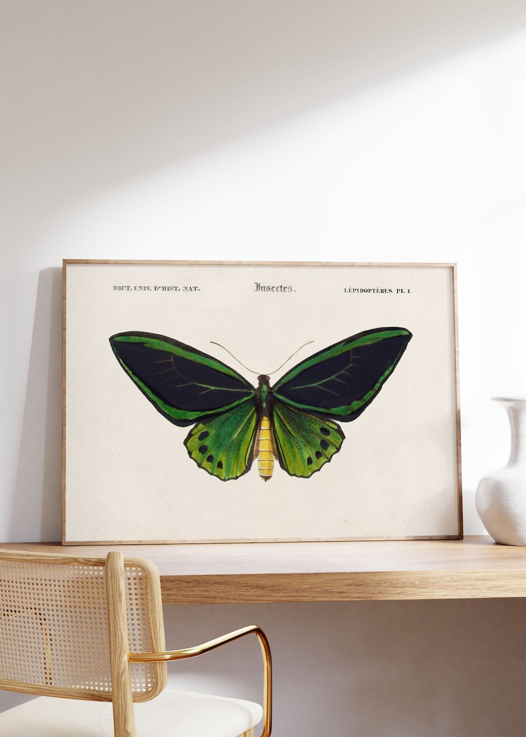 Antique Green Butterfly Print, Butterflies Wall Art, Nature Canvas ...