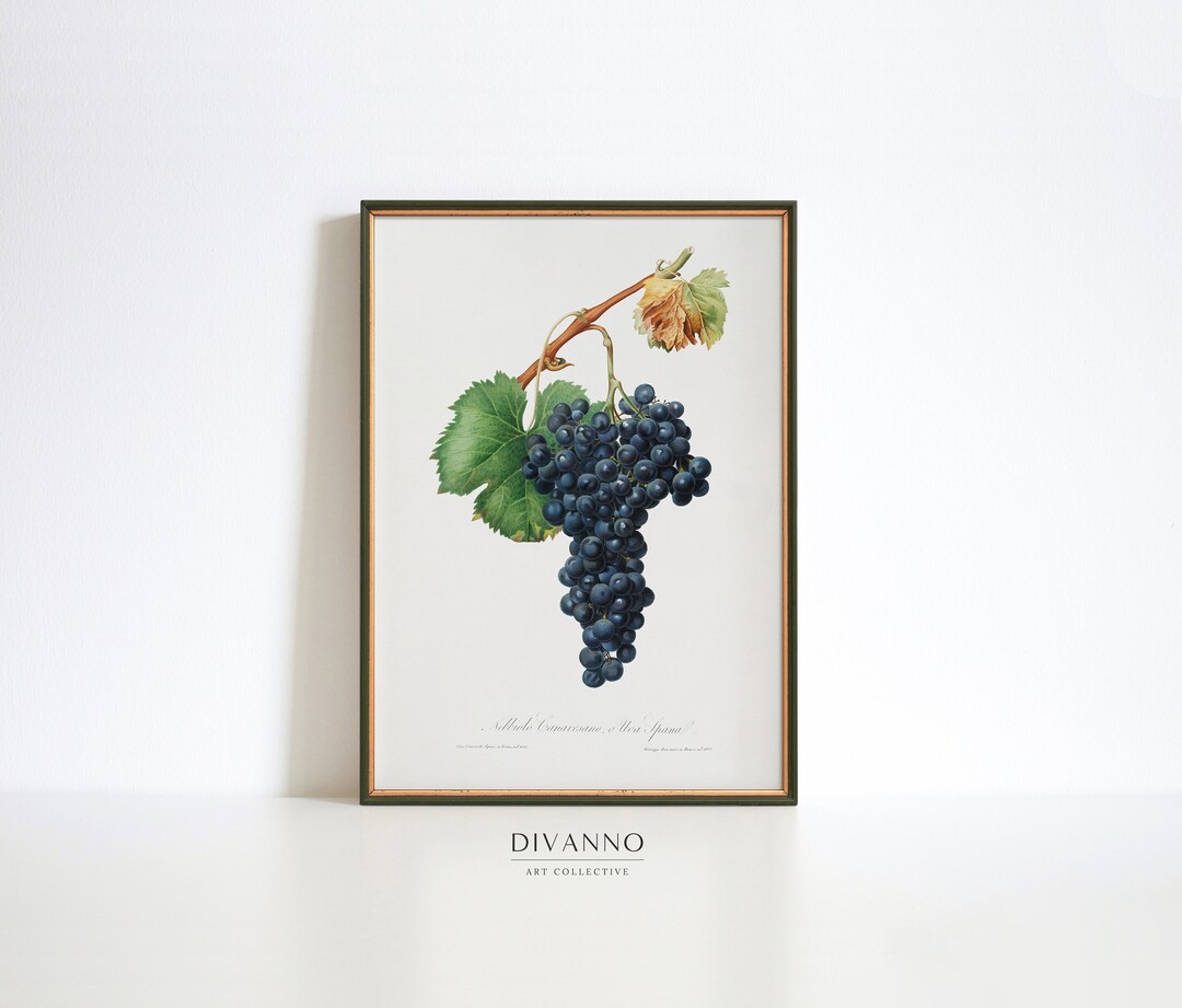 Vintage Grape Poster, Fruit Art Print, Vintage Vineyard Wall Art ...