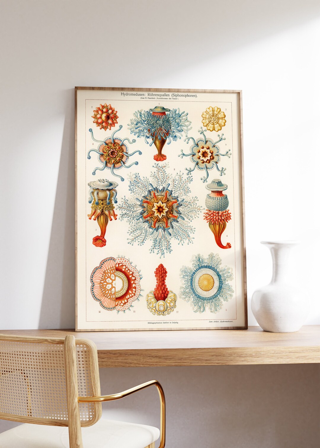 Vintage Jellyfish Poster, Ocean Wall Art, Wildlife Print, Marine Fish ...