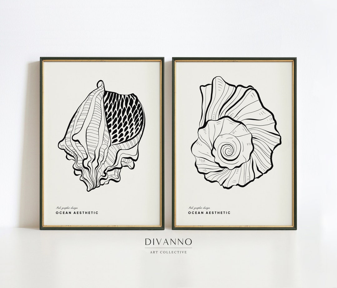 Set of 2 Sea Shell Prints, Beach Farmhouse Decor, Neutral Wall Art ...