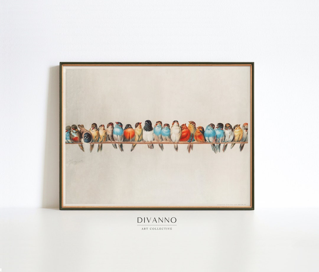 Antique Bird Print, Vintage Perch of Birds, Colorful Feathers Canvas ...