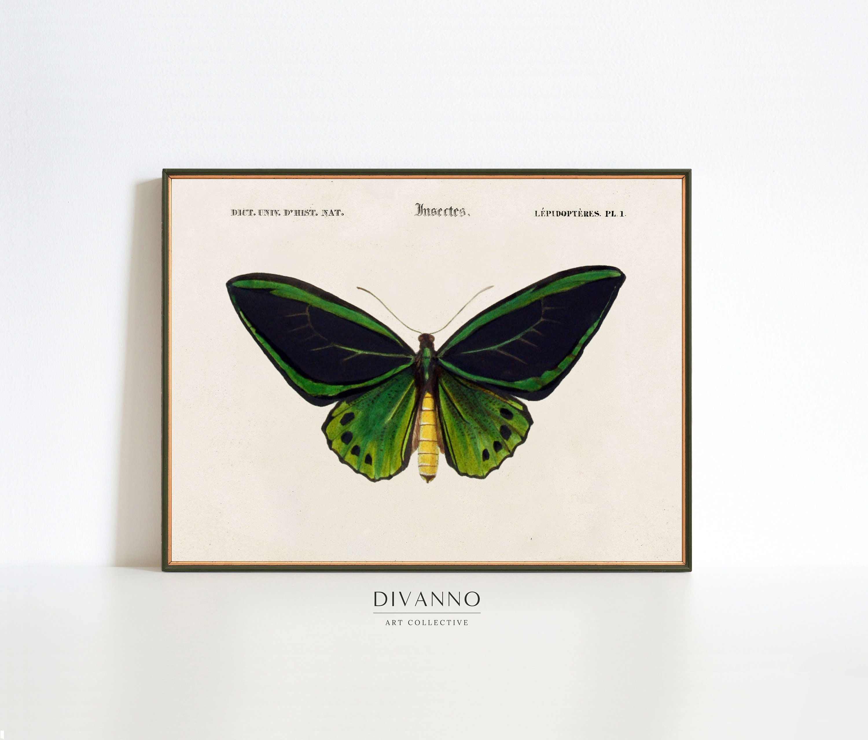 Antique Green Butterfly Print, Butterflies Wall Art, Nature Canvas ...