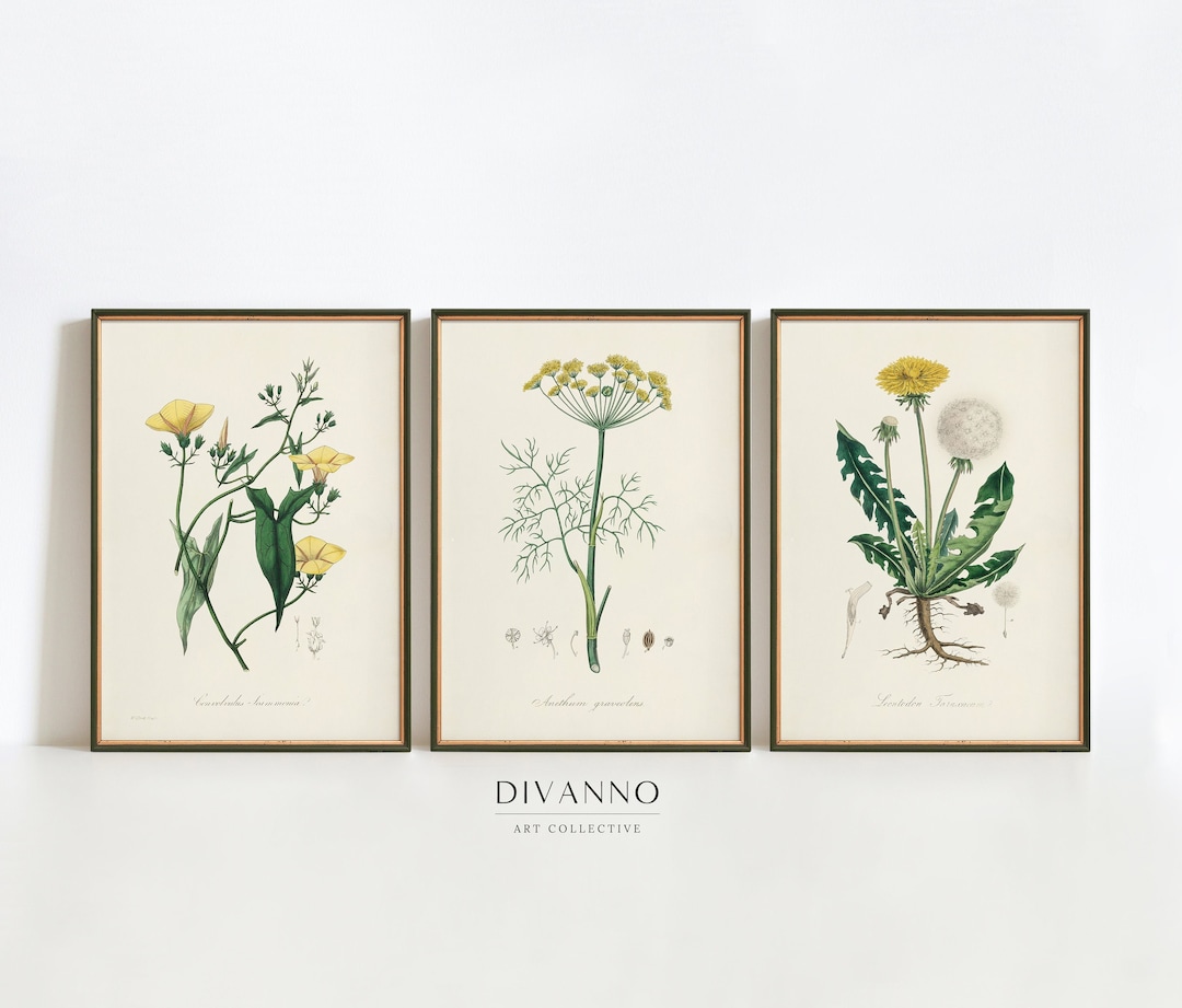 Antique Herbs Set of 3 Posters, Garden Art Print, Vintage Botanical ...