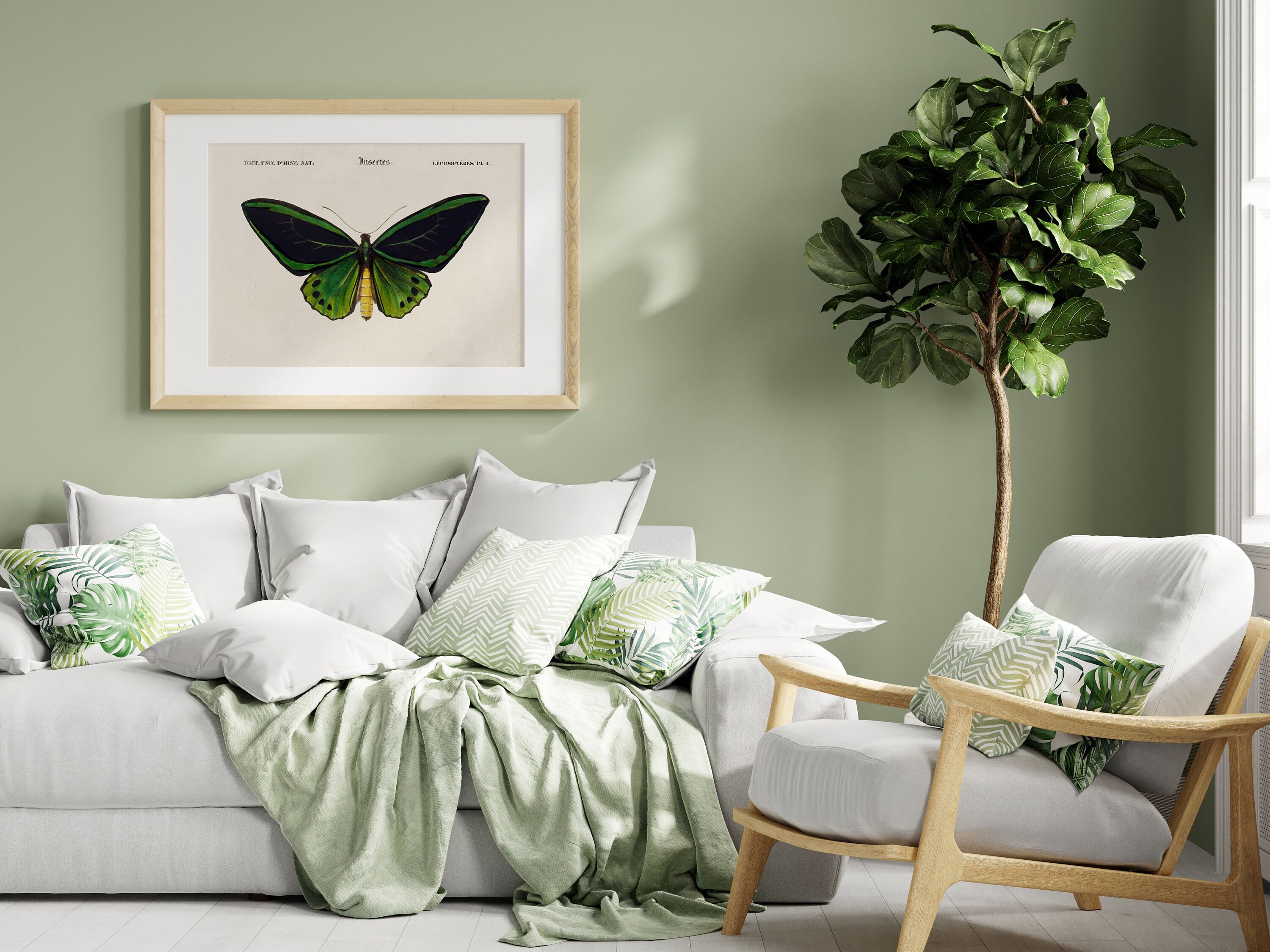 Antique Green Butterfly Print, Butterflies Wall Art, Nature Canvas ...