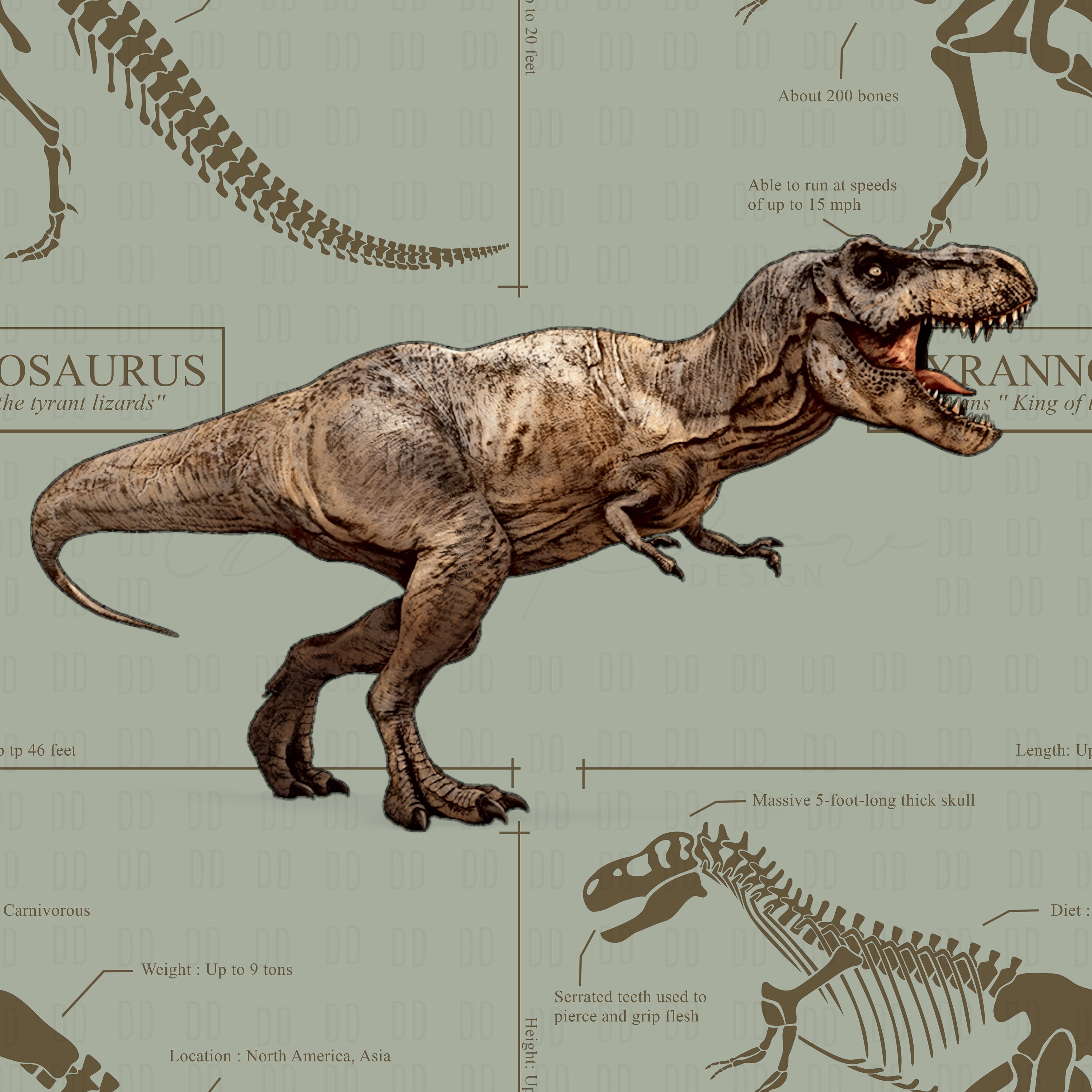 CRETACEOUS T-REX T-rex Jurassic Blueprint Fossil Skeleton Dinosaur ...