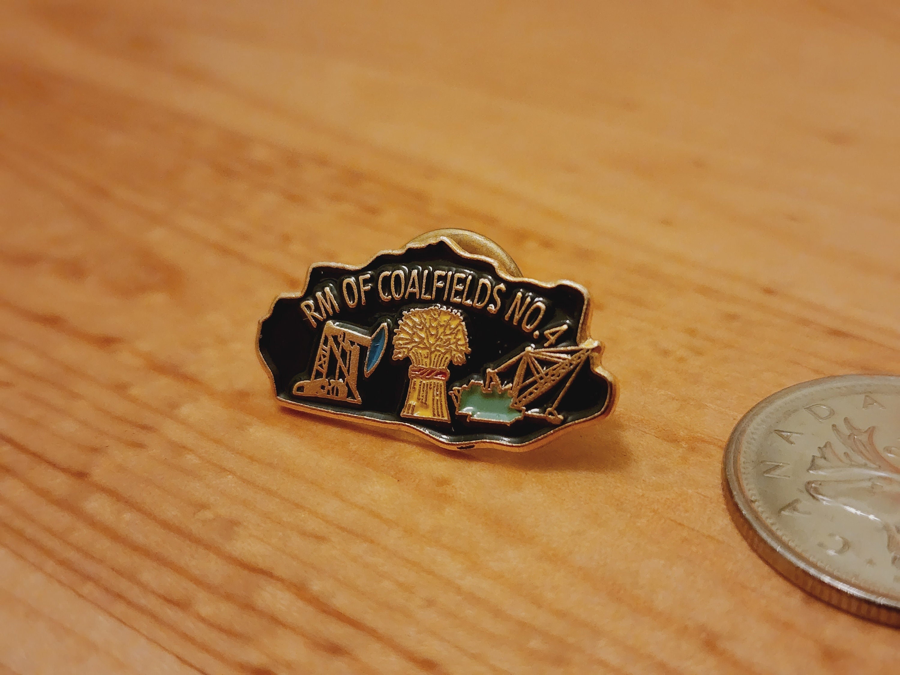 RM of Coalfields No.4 Beautiful Vintage Saskatchewan Brooch Pin Unique ...