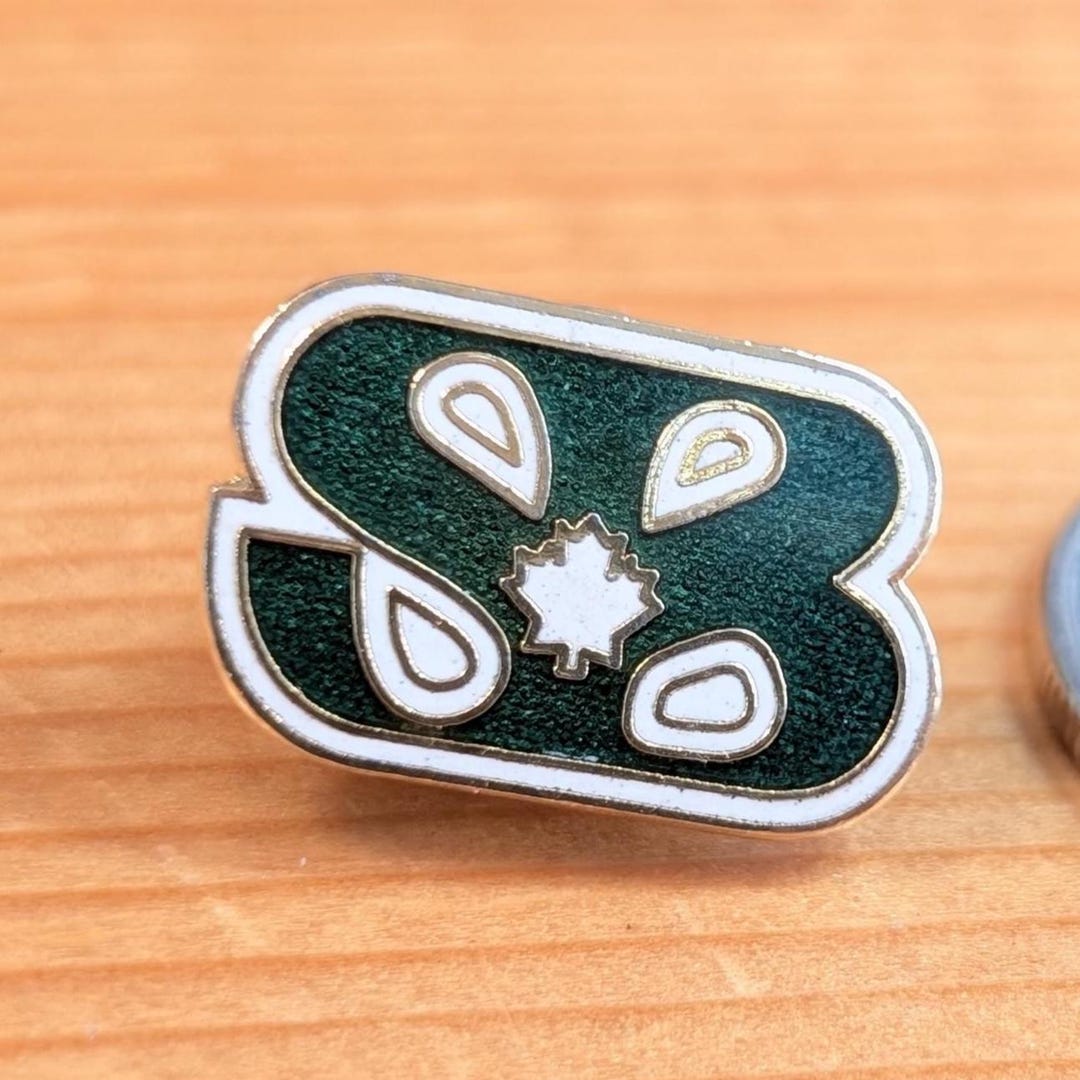 Vintage Enamel Pin: Spina Bifida and Hydrocephalus Association of ...