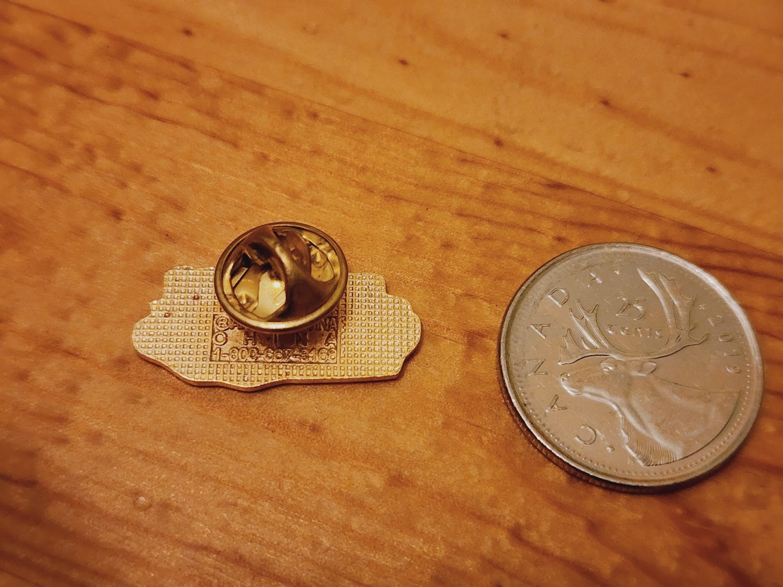 RM of Coalfields No.4 Beautiful Vintage Saskatchewan Brooch Pin Unique ...